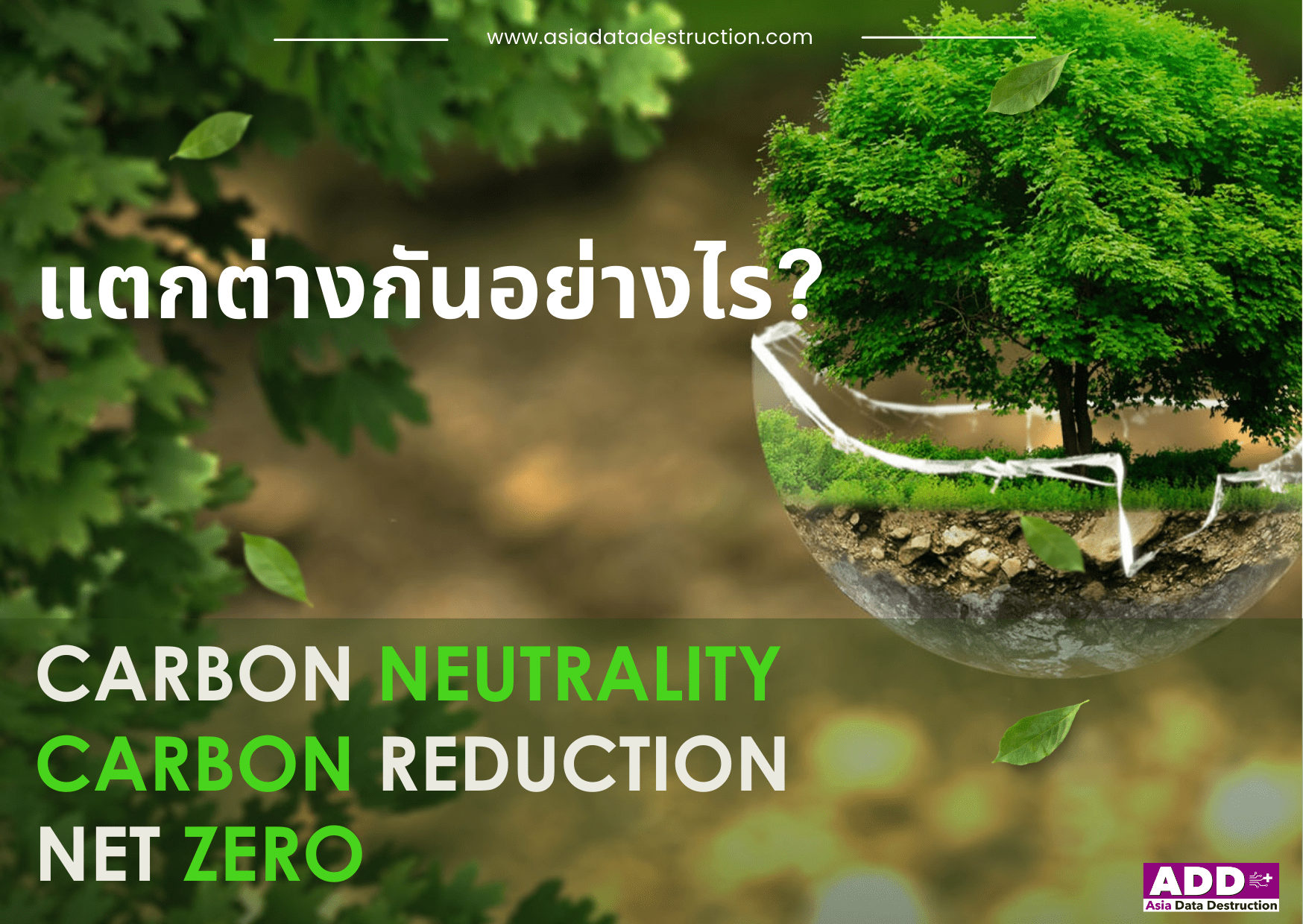Carbon Neutrality, Carbon Reduction, Net Zero Emission